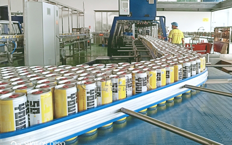 Can Filling Line, High Speed Can Filling Line- Fillex